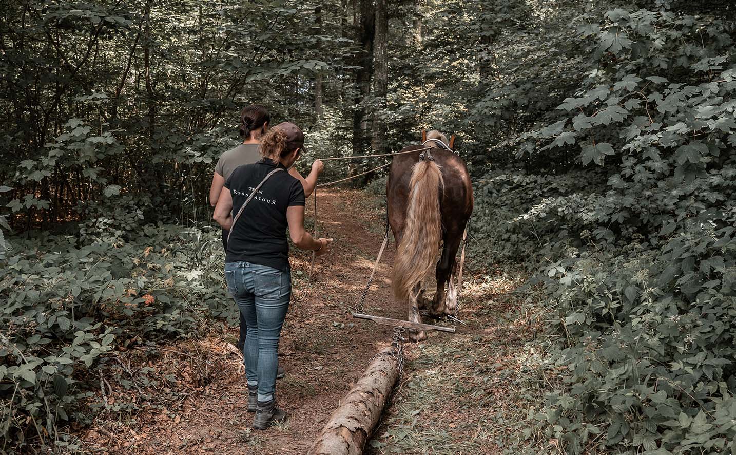 Laura Ruhland - langfristige Erfüllung in allen Lebensbereichen-