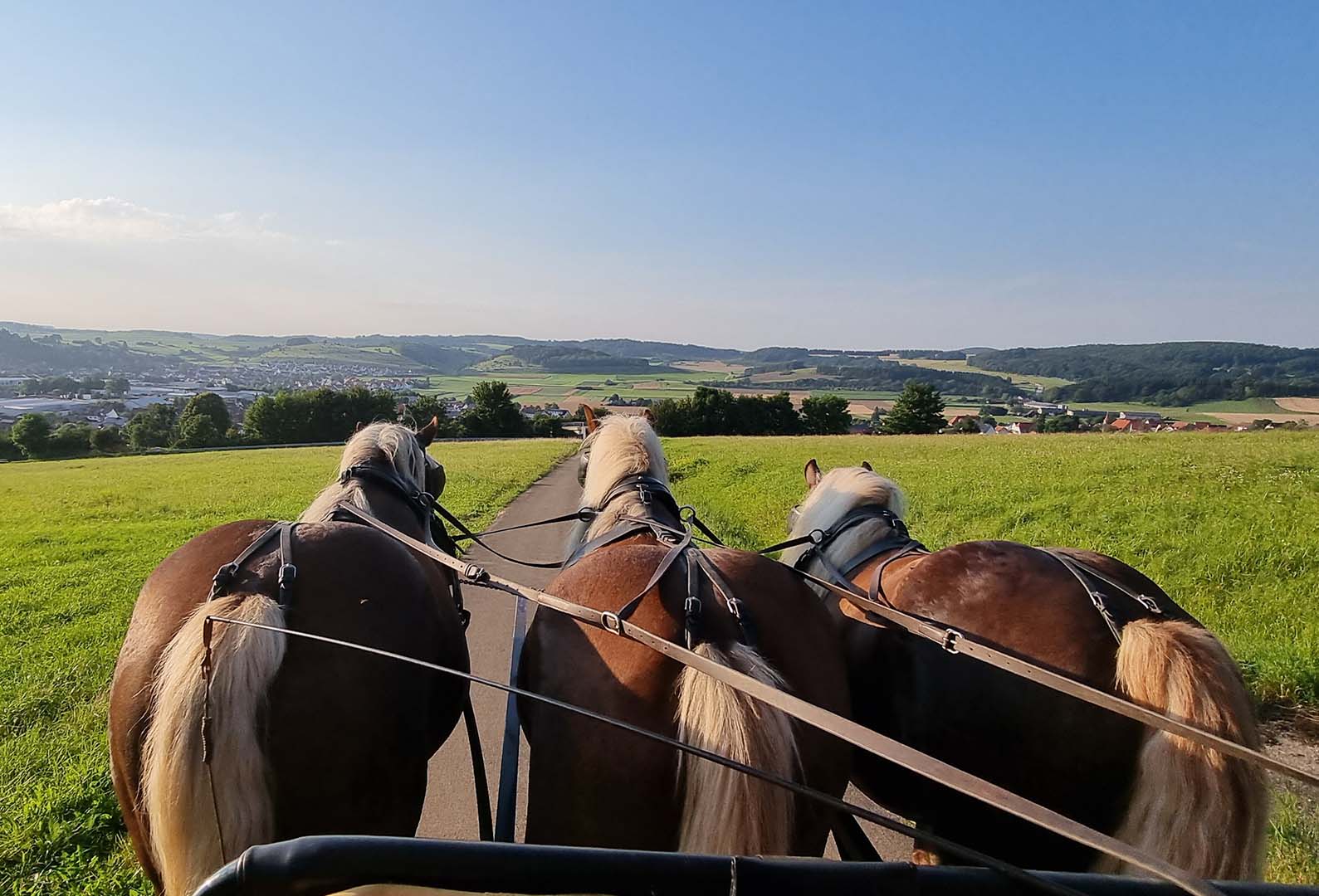 Laura Ruhland - Erfahre vieles über mich